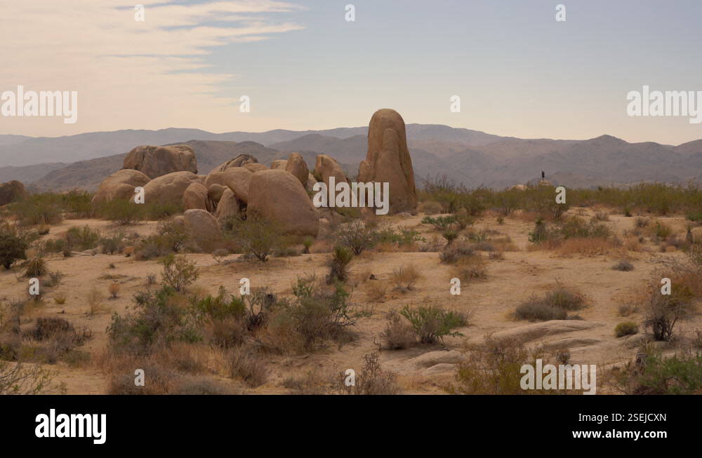 Tank formation Stock Videos & Footage - HD and 4K Video Clips - Alamy