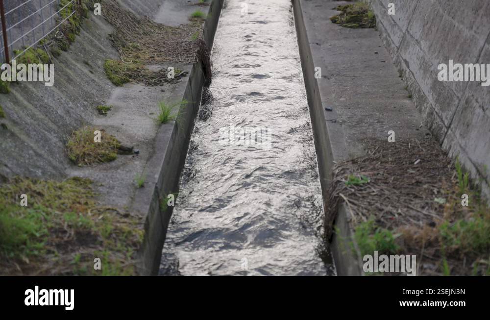 Japanese Rice Farm Drainage Canal, Flowing Fresh Water from Mt Daisen ...
