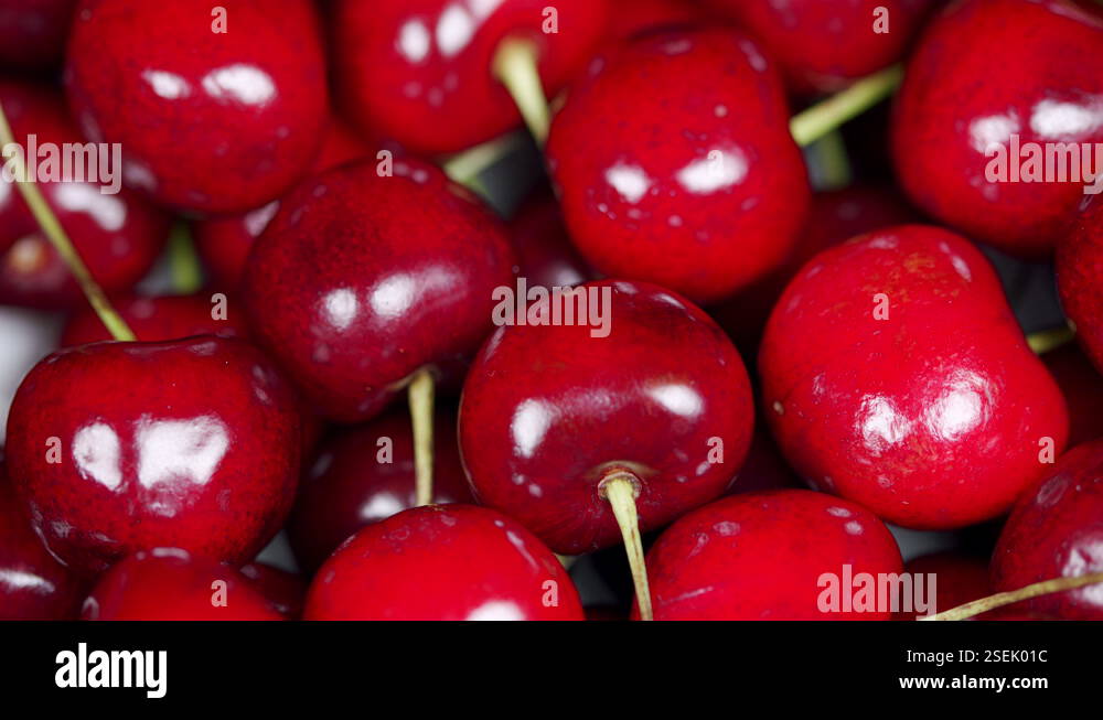 Seasonal red berry. Rotated organic red cherries background Stock Video ...