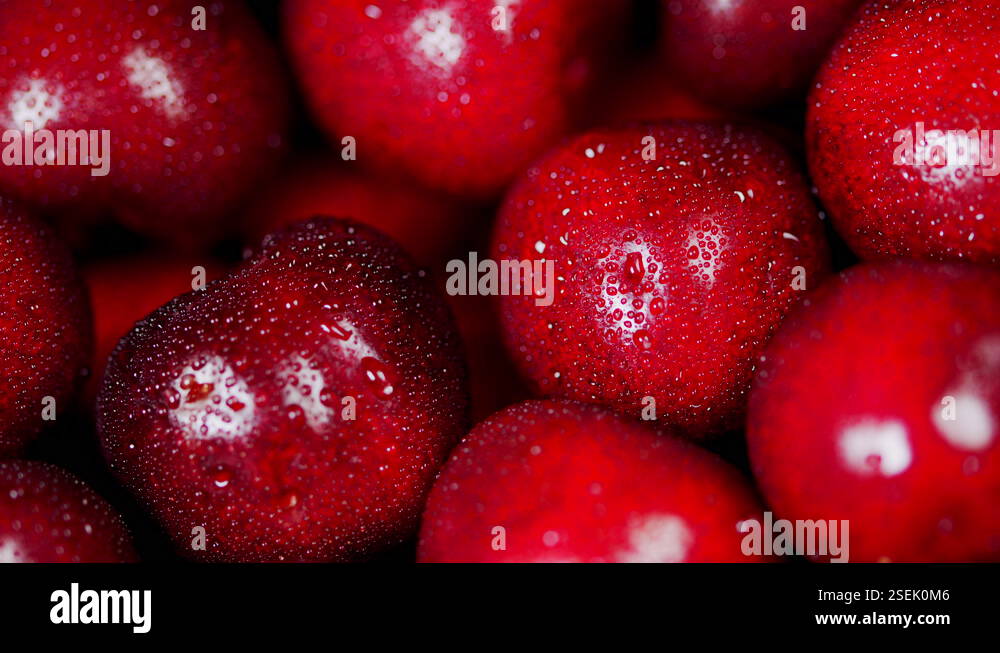 Fresh ripe cherry close-up. Fresh juicy wet red cherry rotation Stock ...