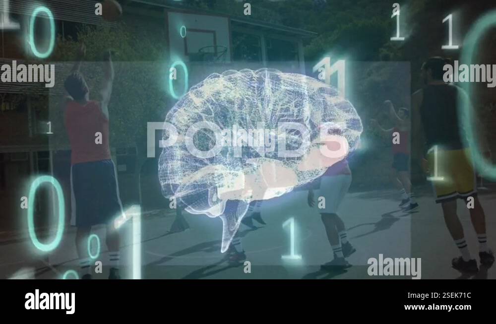 Match brain Stock Videos & Footage - HD and 4K Video Clips - Alamy