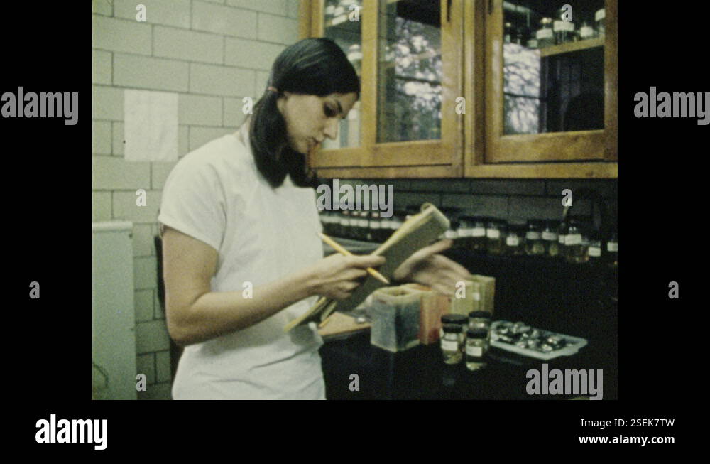 1970s: zoo biologist in lab taking notes, zoo worker loading monkey ...