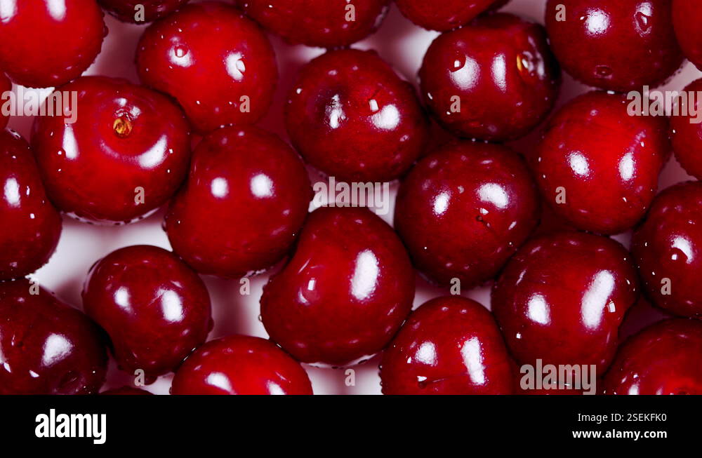Fresh ripe cherry close-up. Fresh juicy wet red cherry rotation. Fast ...