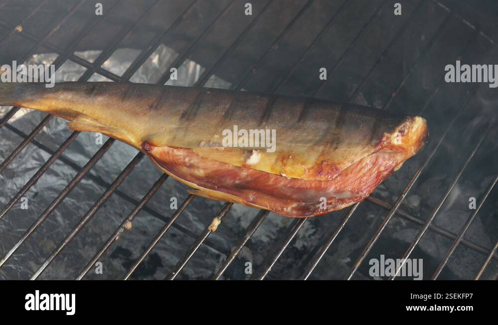 Close-up of the delicious smoked red char fish taken from the grid in ...