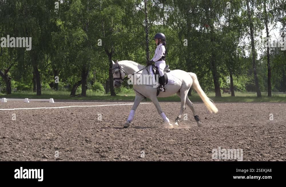 Girl rider white horse in equestrian sport competition Stock Video ...