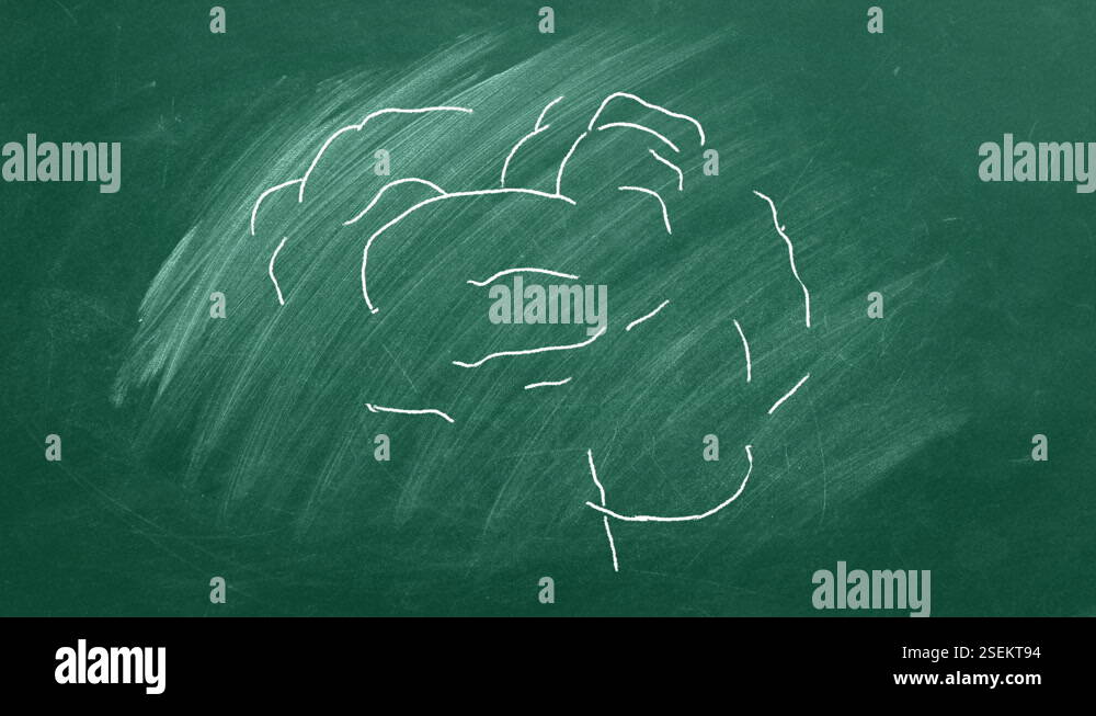 Human brain. Illustration on chalkboard Stock Video Footage - Alamy