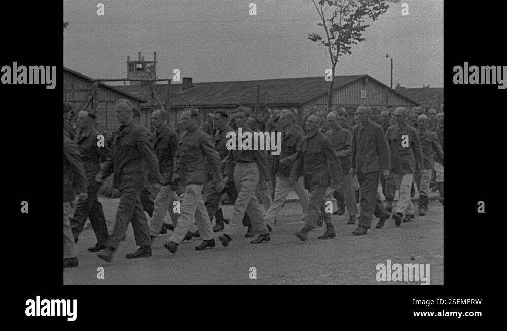 Shell fuses Stock Videos & Footage - HD and 4K Video Clips - Alamy