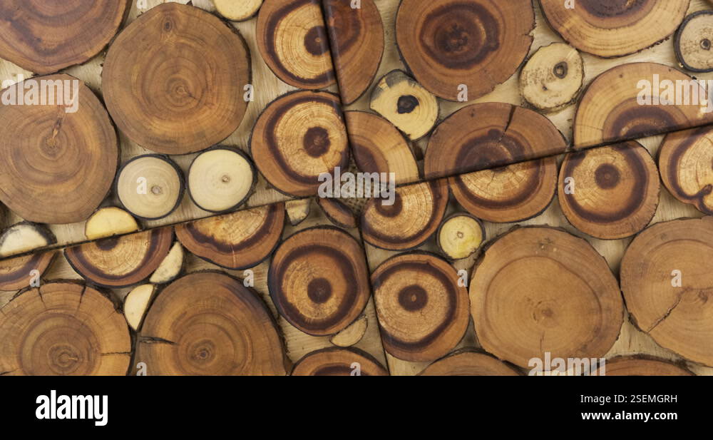 Wooden texture round shaped. Wood panel made from cuts from a tree ...