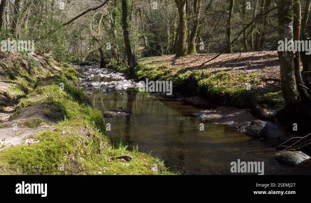 Fresh water flowing down the river teign in Dartmoor national park ...