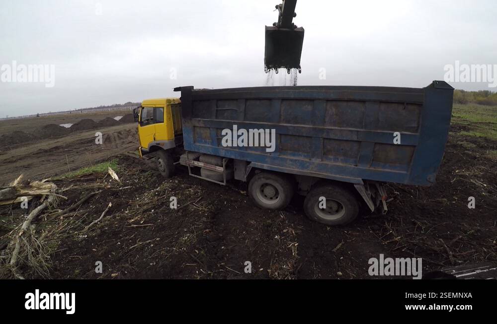 Work in the field, excavator loading up the truck with tree branches ...