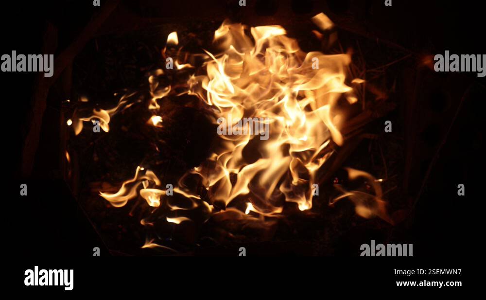 Bonfire fire, Real Flames Ignited On A Black Background. Real Fire. 4K ...