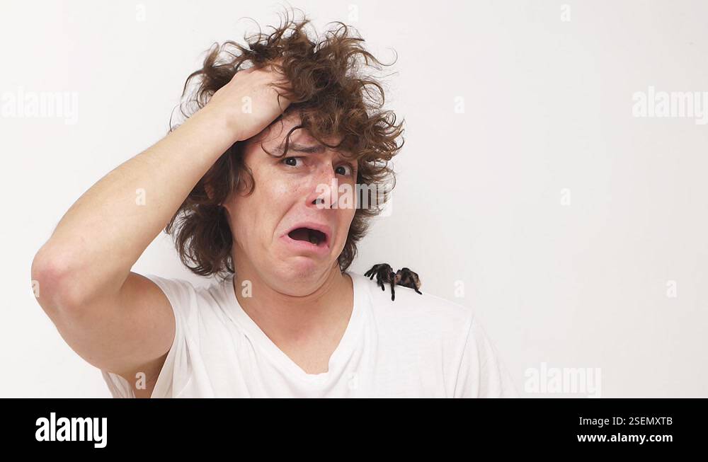 Man scared of spider Stock Videos & Footage - HD and 4K Video Clips - Alamy