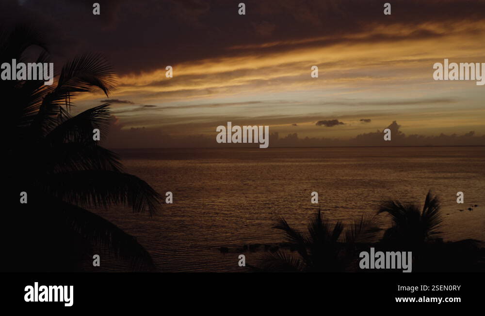 Cinematic dolly in aerial through silhouette palm trees to reveal a ...