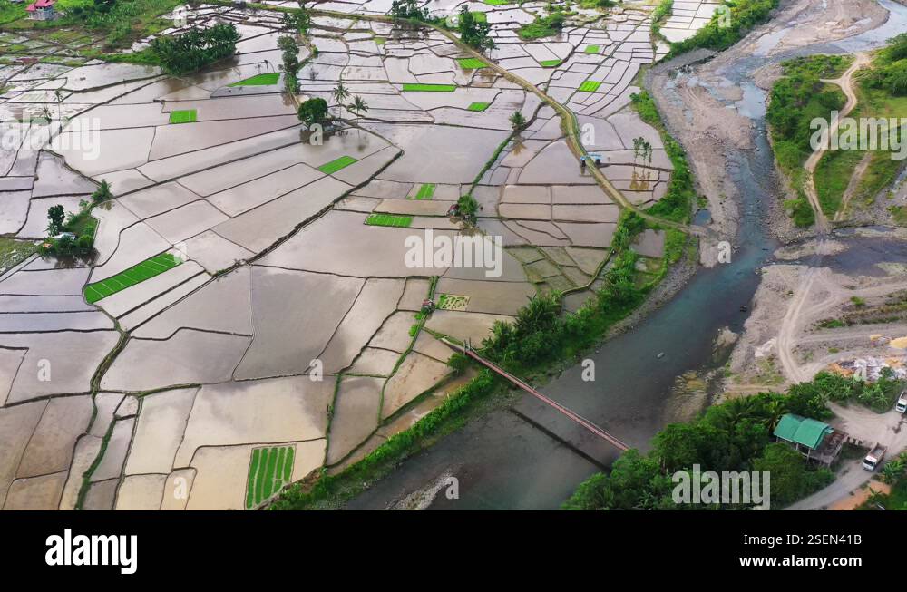 Aerial View Of Country Rice Fields Along The River Near Gravel Pit In ...