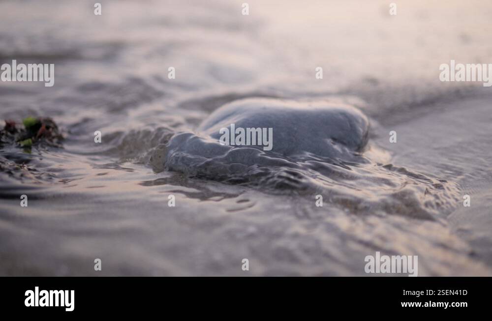 Slow motion of a small wave hitting a rock on the beach with a ...