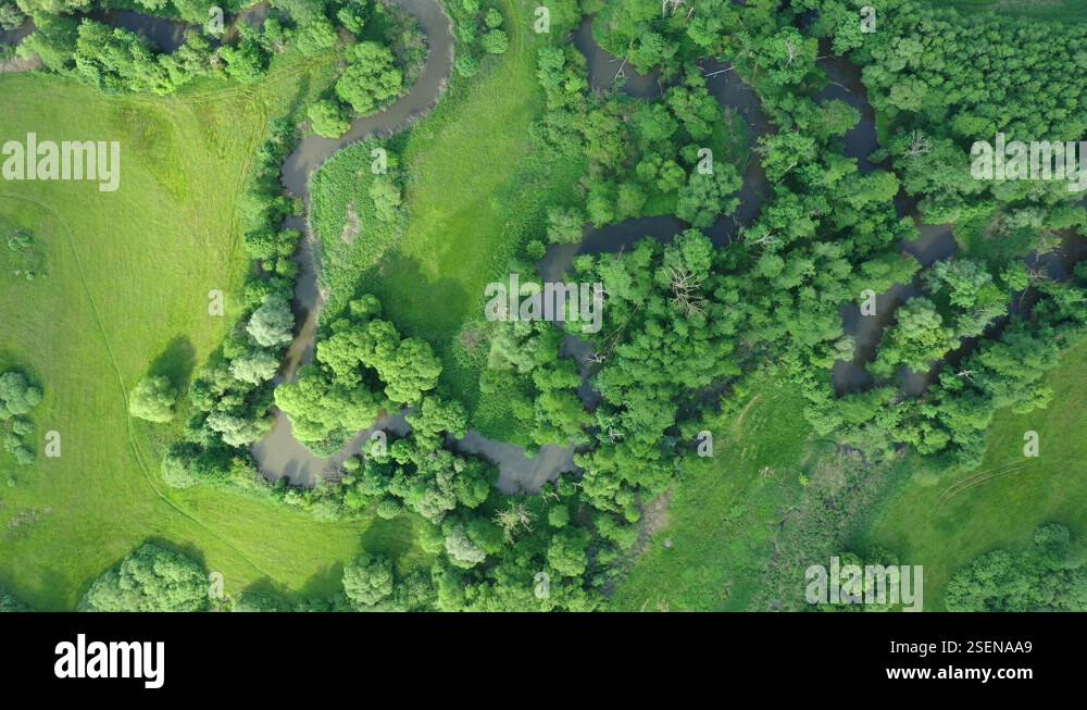River delta river meander inland dron aerial video shot in floodplain ...