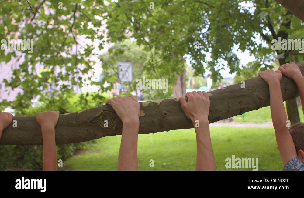 hands hang tree branch park Active play group Hang long time ...