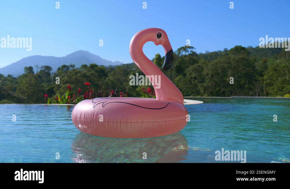 The hottest summer accessory - flamingo Inflatable ride on floating in ...