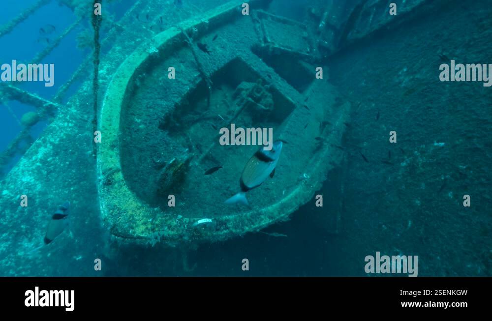 Lifeboat on the shipwreck Swedish ferry MS Zenobia, a flock of ...
