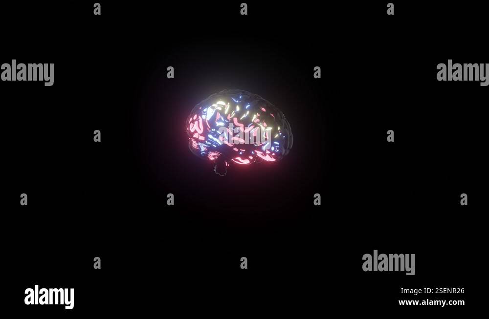 Animated artificial glowing brain on black background Stock Video ...