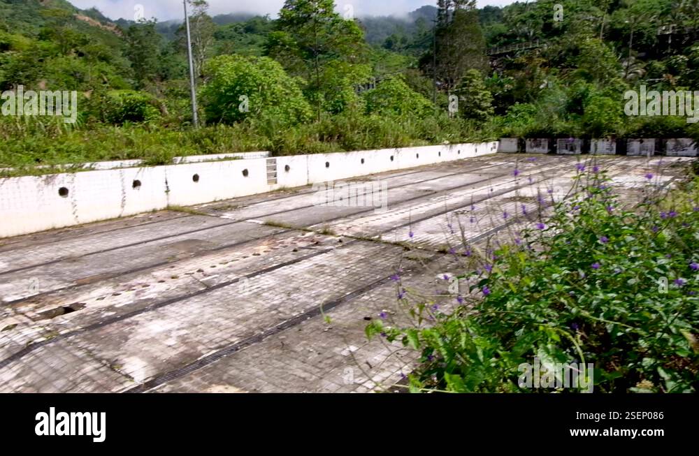 Disused swimming pool Stock Videos & Footage - HD and 4K Video Clips ...