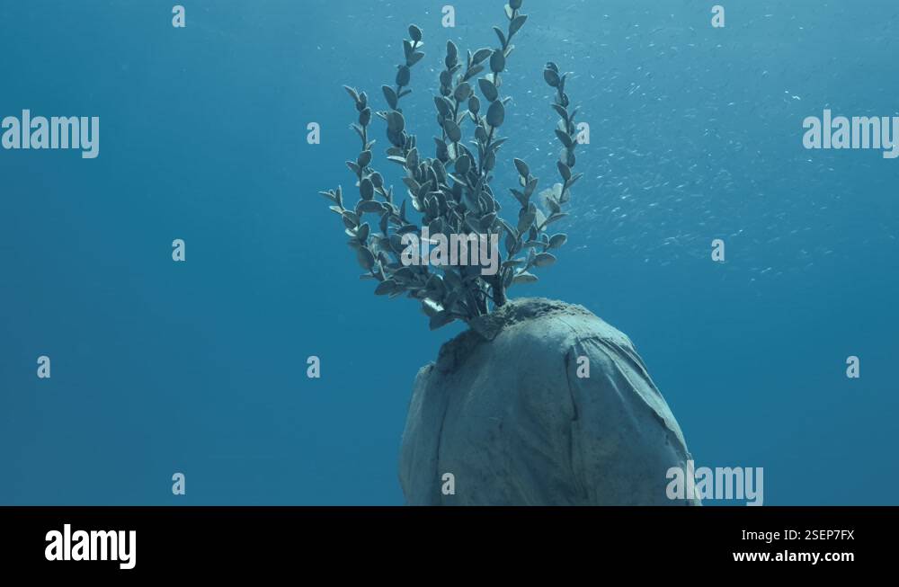 Museum of Underwater Sculpture Ayia Napa (MUSAN), Cyprus Stock Video ...