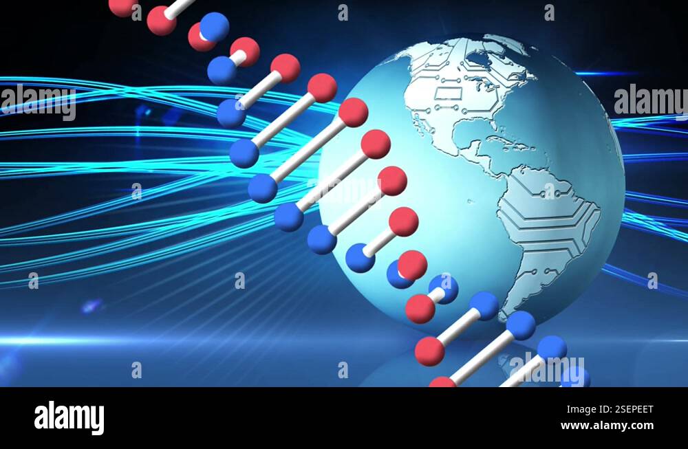 Animation of dna strand over globe Stock Video Footage - Alamy
