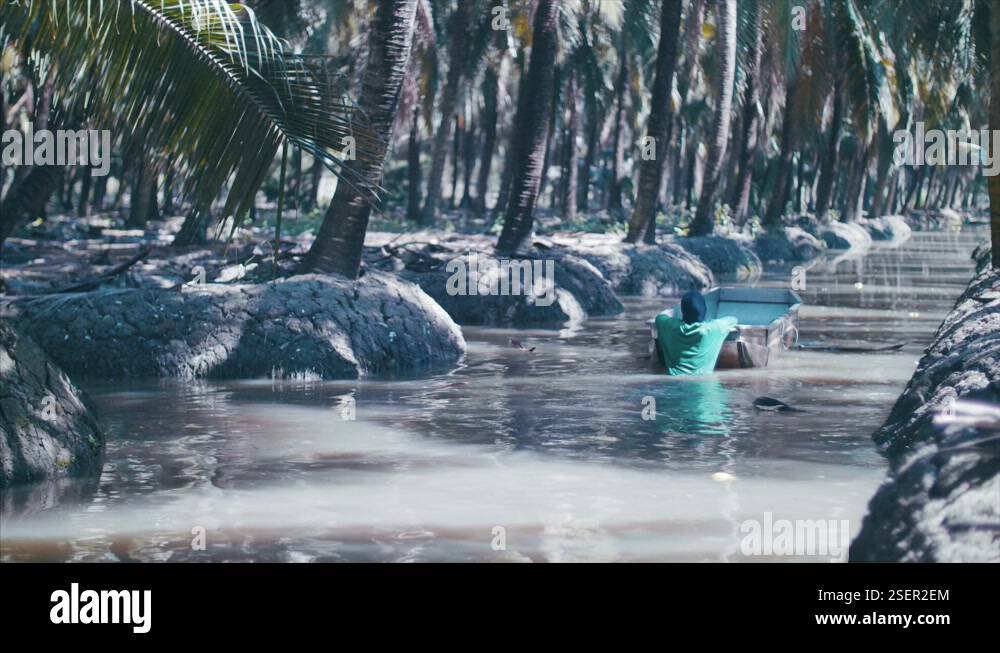 Coconut transport Stock Videos & Footage - HD and 4K Video Clips - Alamy