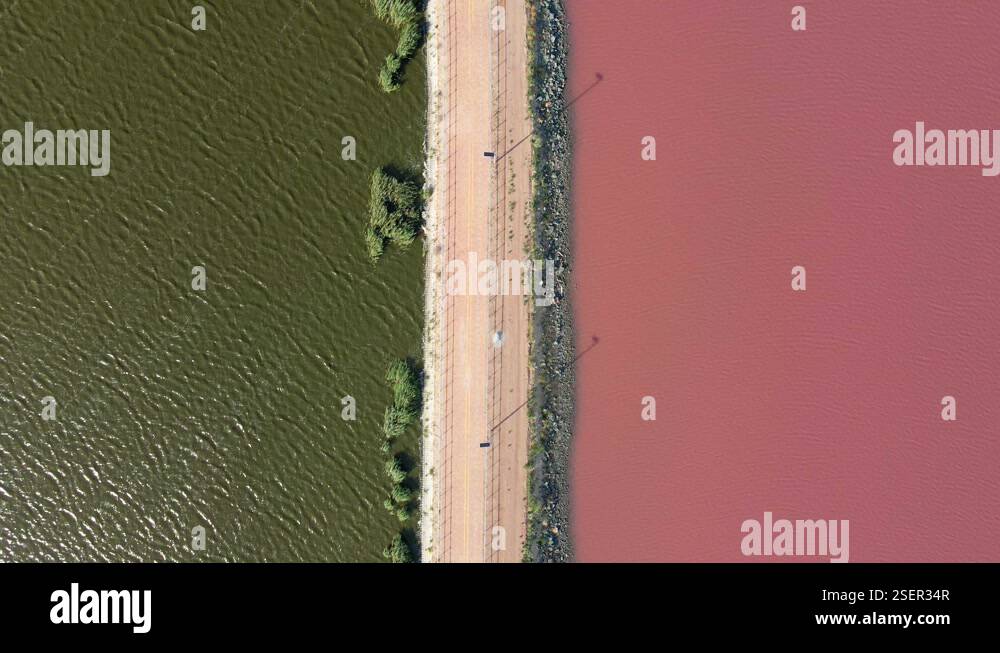 pink lake sasik sivash divided by road in summer Stock Video Footage ...