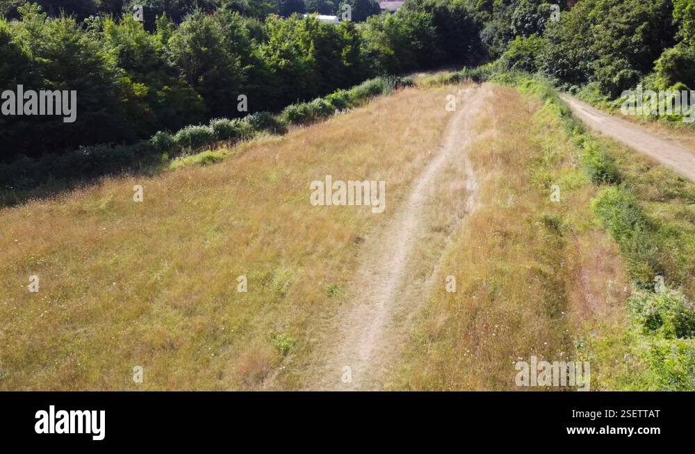 Narrow walk path through grass field in a forest - drone dolly shot ...