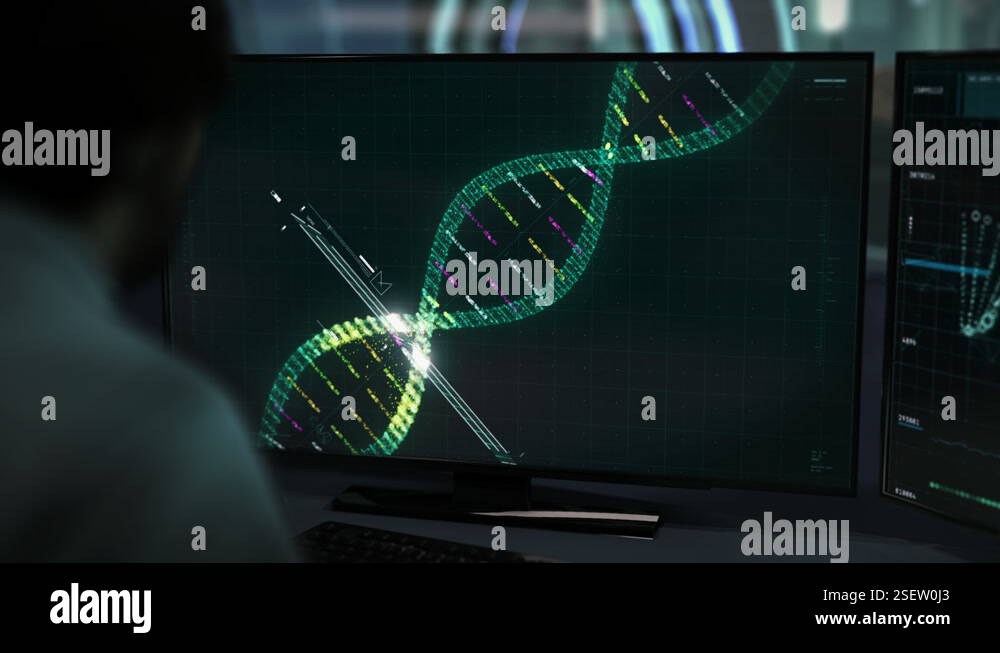 Medical Doctor Studying Patient`s Analysis At A High Tech Bio ...