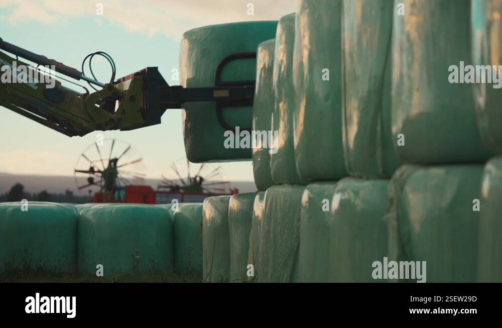 Green wrapped silage bale lifted from stack by fork lift tractor, farm ...