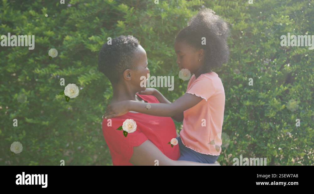 Flower roses hugging Stock Videos & Footage - HD and 4K Video Clips - Alamy