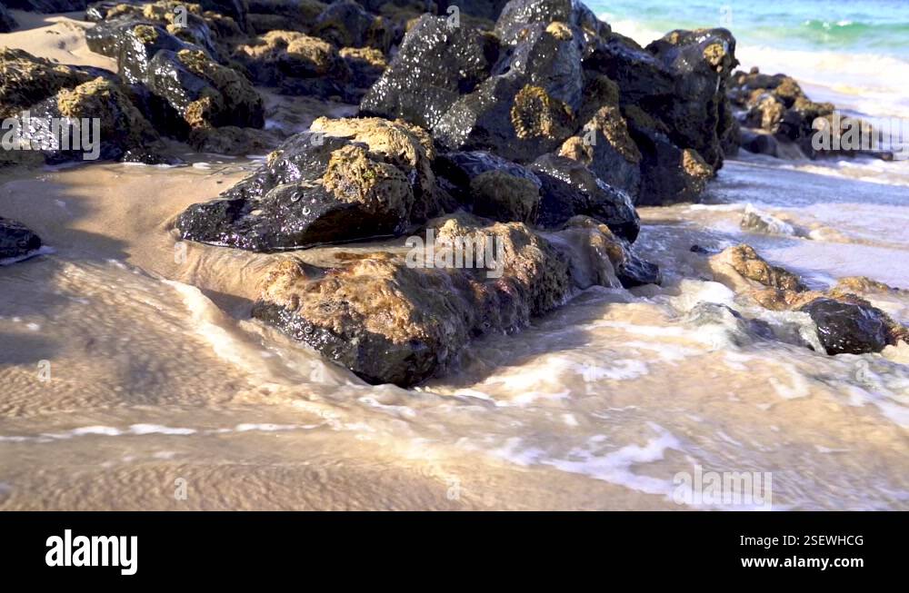 Slow Motion: ocean waves trickling over seaweed covered rocks at the ...
