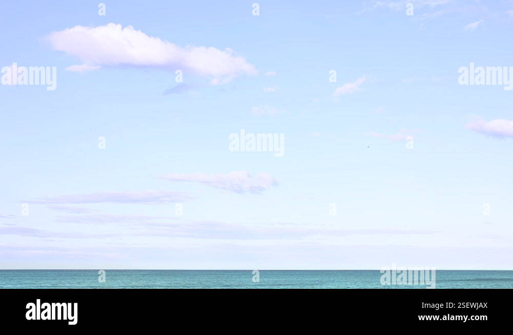 Minimal ocean scenery with single bird flying around in beautiful blue ...