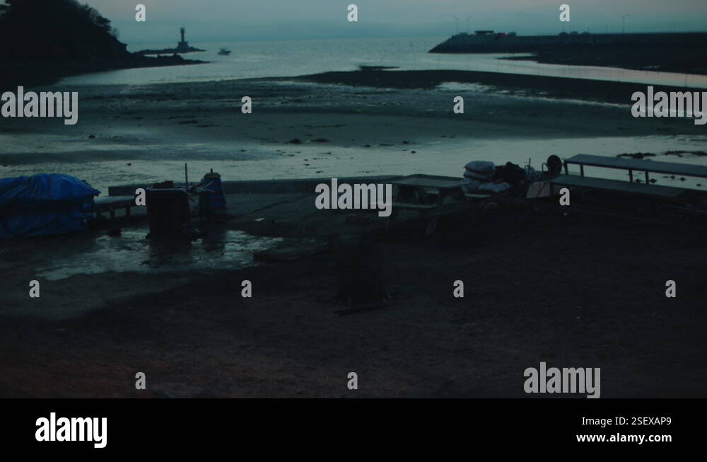 Steel drum beach Stock Videos & Footage - HD and 4K Video Clips - Alamy
