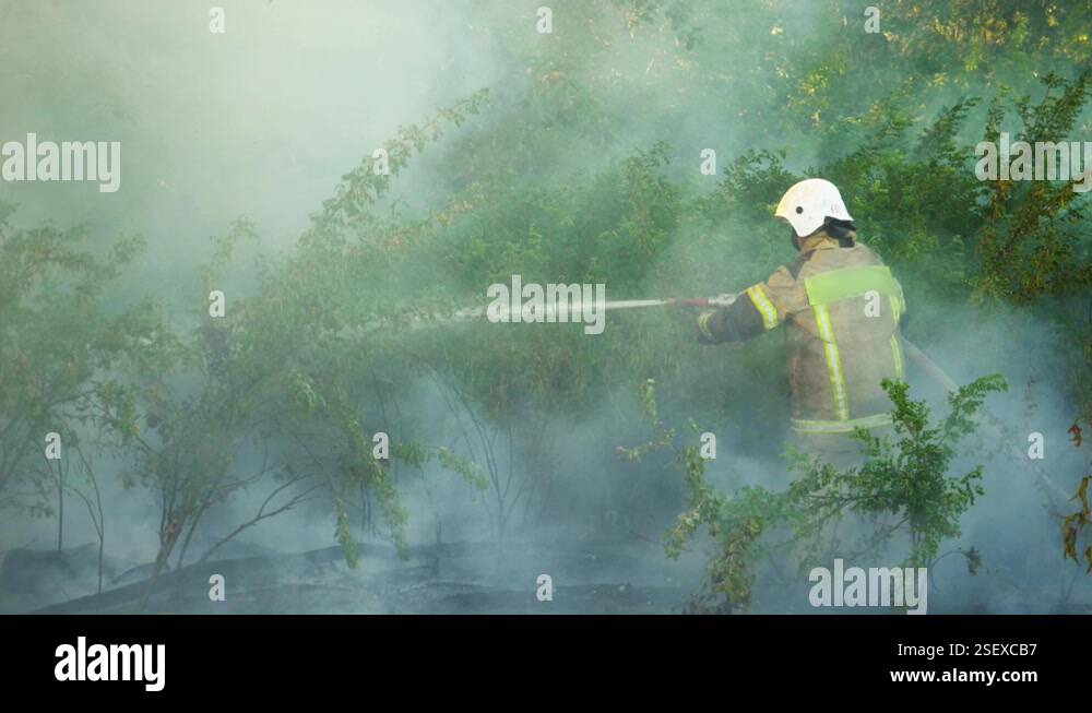 Wildland firefighters Stock Videos & Footage - HD and 4K Video Clips ...