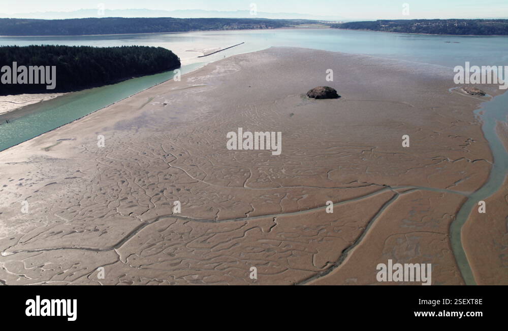 Ocean mud Stock Videos & Footage - HD and 4K Video Clips - Alamy