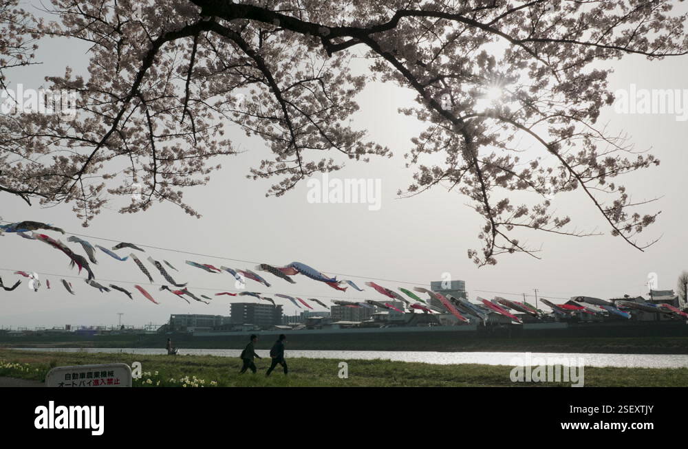 Cherry blossoms flags north avenue Stock Videos & Footage - HD and 4K ...