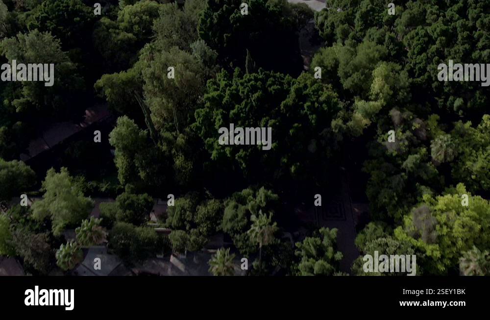 Overview Of Plaza de la Familia In Alameda Hidalgo, Santiago de ...