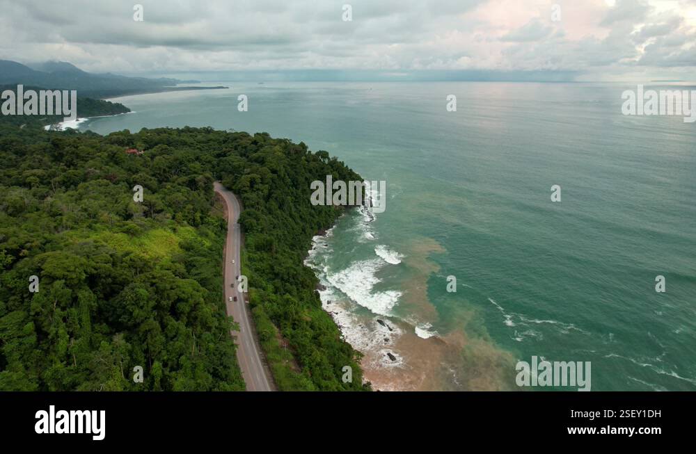 Selva azul Stock Videos & Footage - HD and 4K Video Clips - Alamy