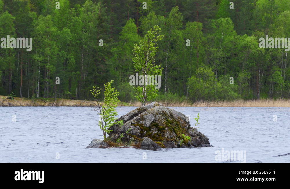Lonely small islet in the water that looks like podium with three Stock ...