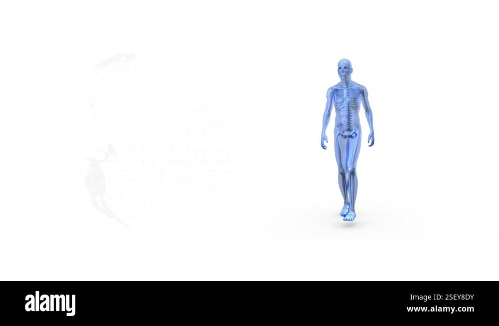 Walking globe Stock Videos & Footage - HD and 4K Video Clips - Alamy