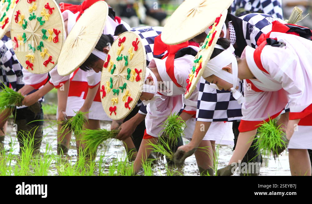 Saotome and Tamata, Shinto Masada festive activities various shots ...