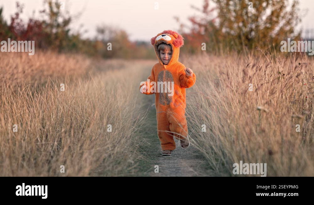 Boy lion cub Stock Videos & Footage - HD and 4K Video Clips - Alamy