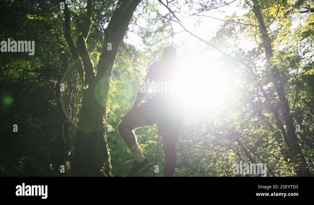 Proud moment completing a trek at Ponga park Spain Asturias silhouette ...