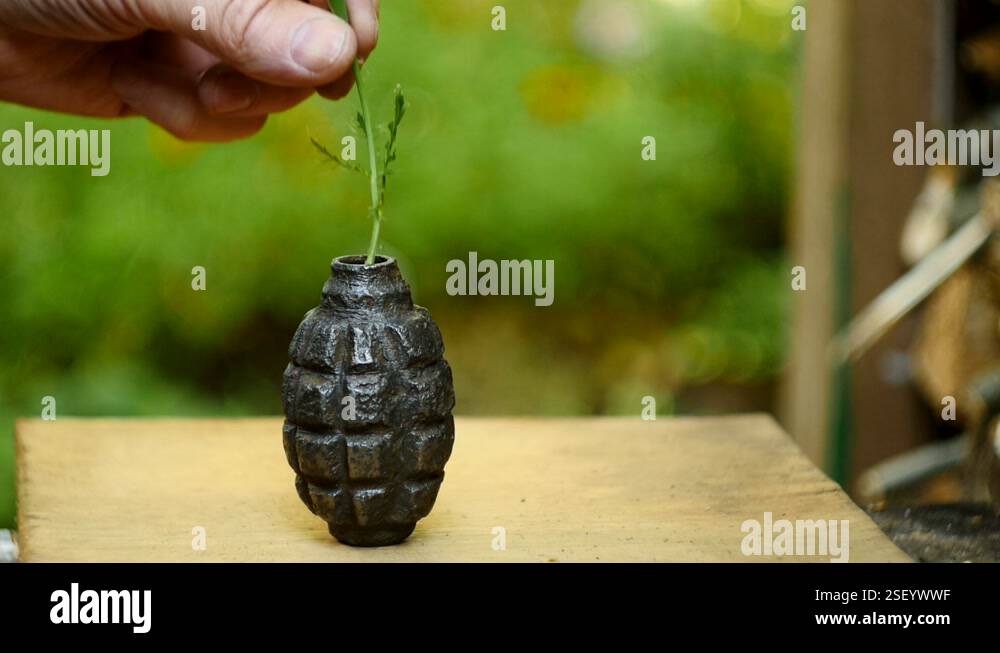 Army flower Stock Videos & Footage - HD and 4K Video Clips - Alamy