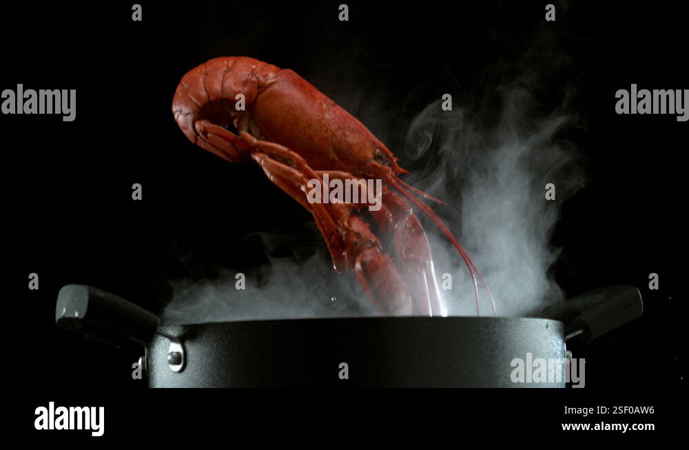 Lobster falling into boiling pot in slow motion. Shot with Phantom Flex ...