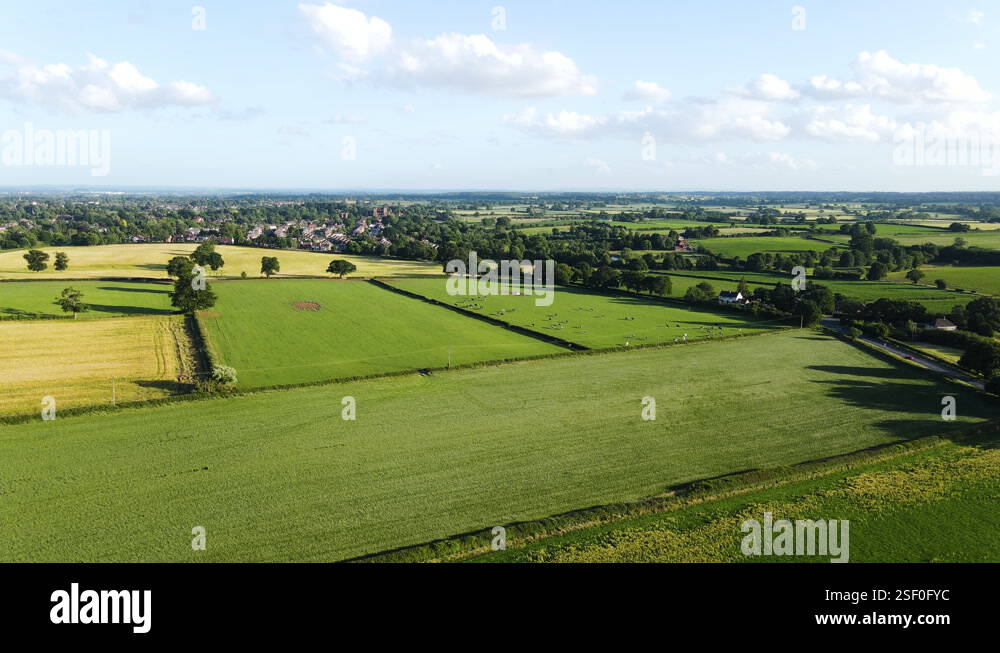Ariel trees Stock Videos & Footage - HD and 4K Video Clips - Alamy