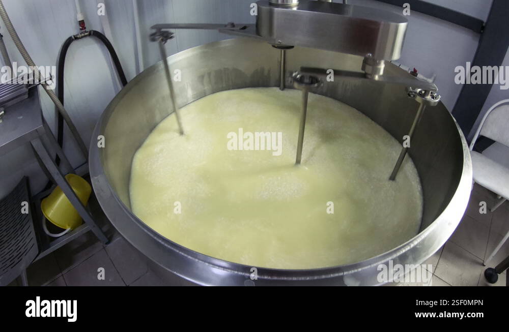 Mixing milk in a cheese factory in a large vat Stock Video Footage - Alamy